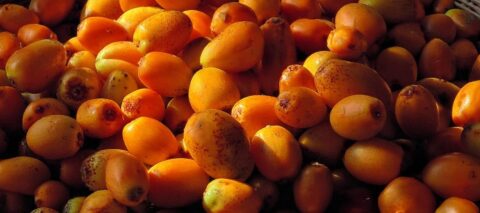 Discover Caja: The Tangy Brazilian Fruit That Elevates Your Menu